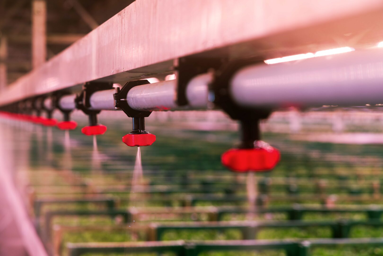 Solutions - Prins USA