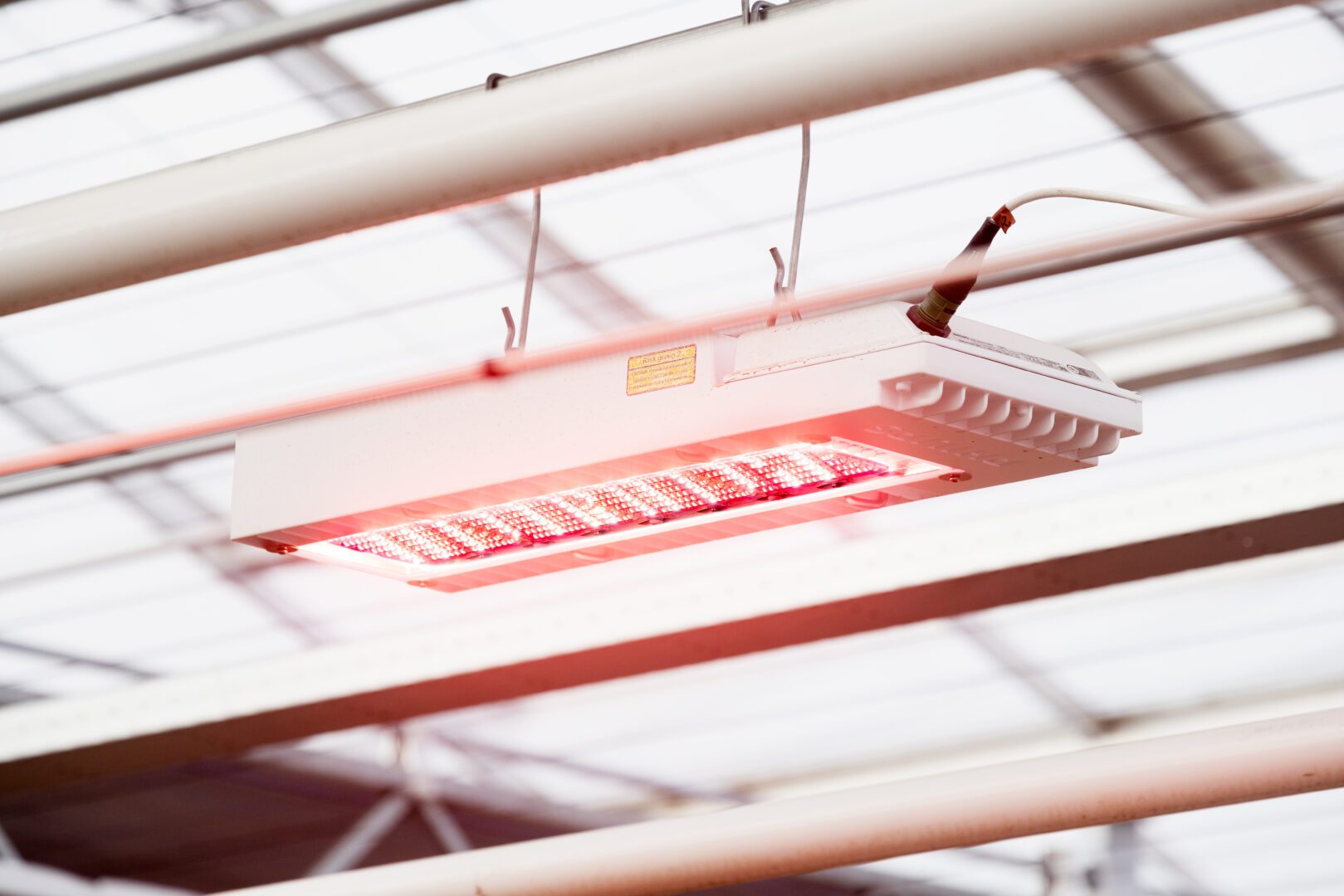 Grow Lights - Prins USA