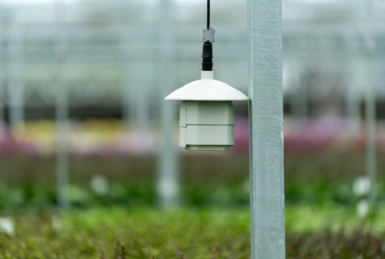 Solutions - Prins USA