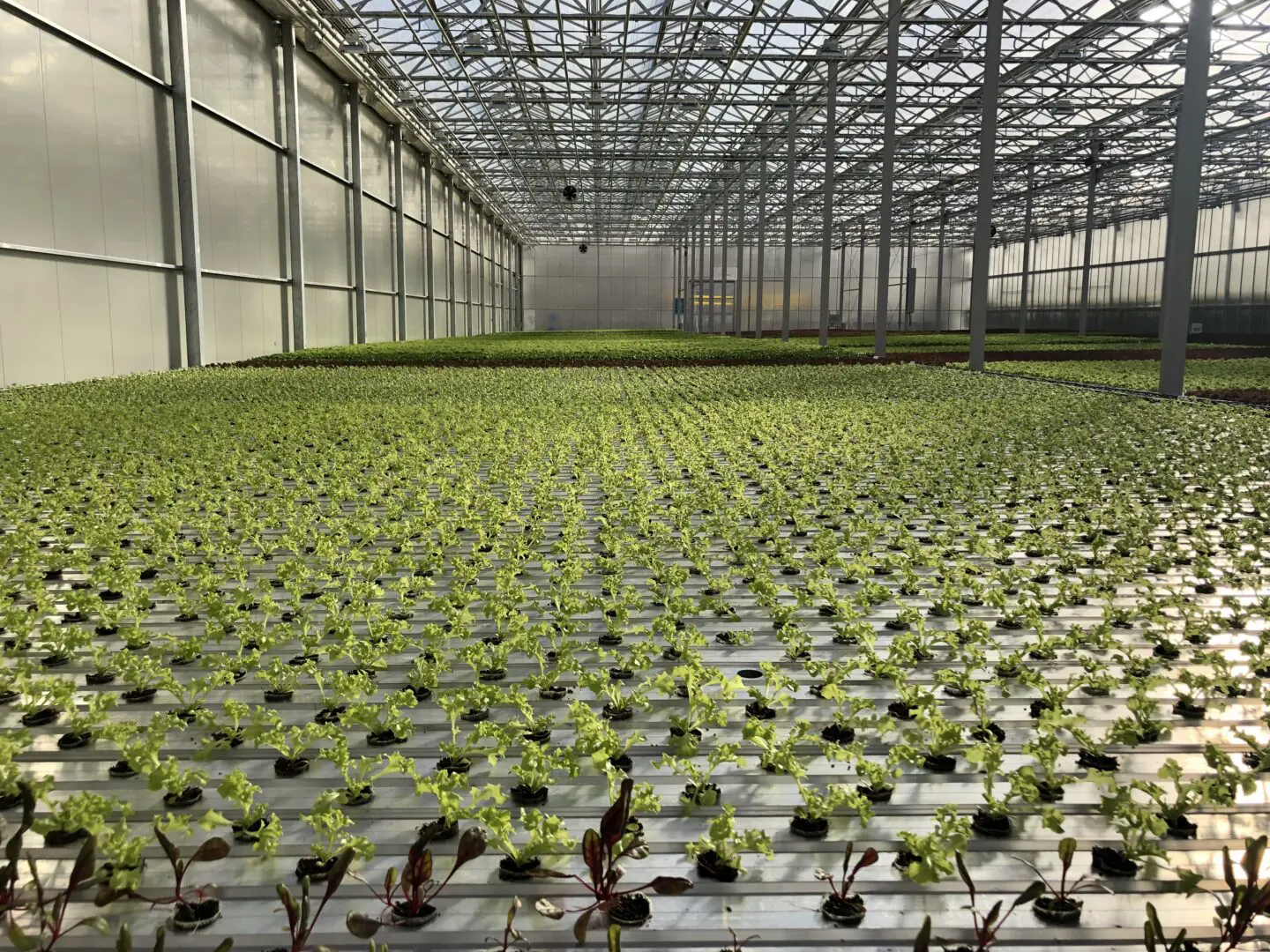 Solutions - Prins USA