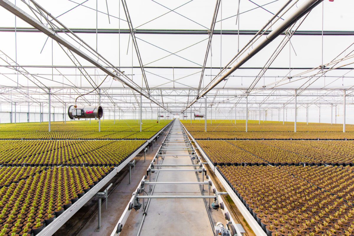 Cultivation Systems - Prins USA